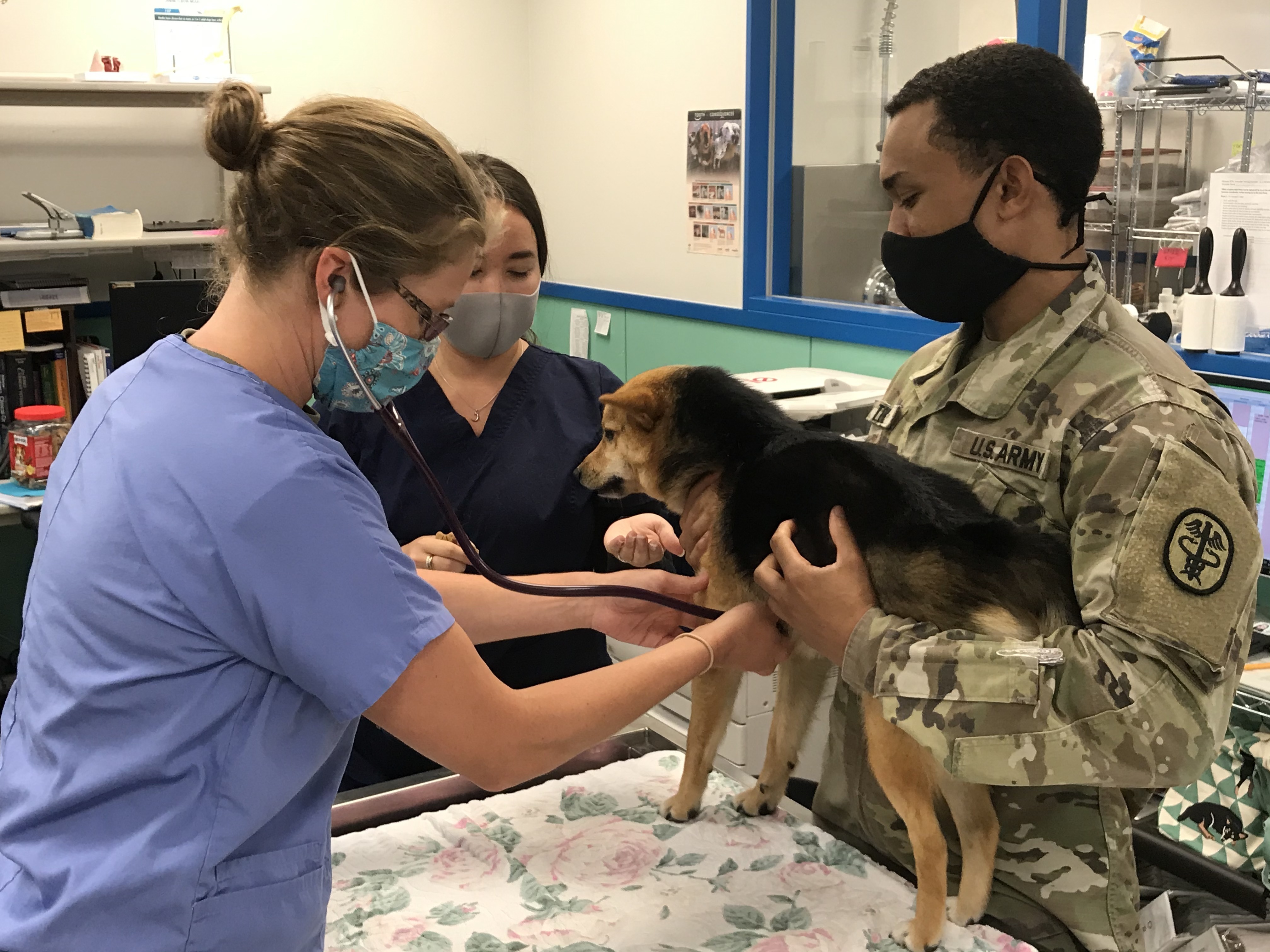 Public Health Command-Pacific > Services > Veterinary Services > Animal ...